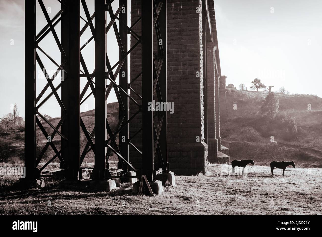 Taradale railway viaduct hi-res stock photography and images - Alamy