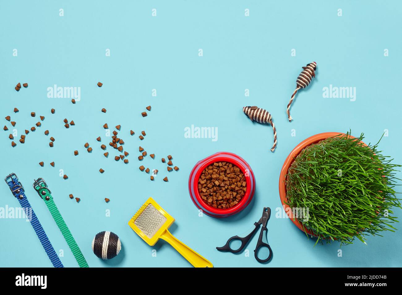 Flat lay composition with accessories for a cat on a blue background ...