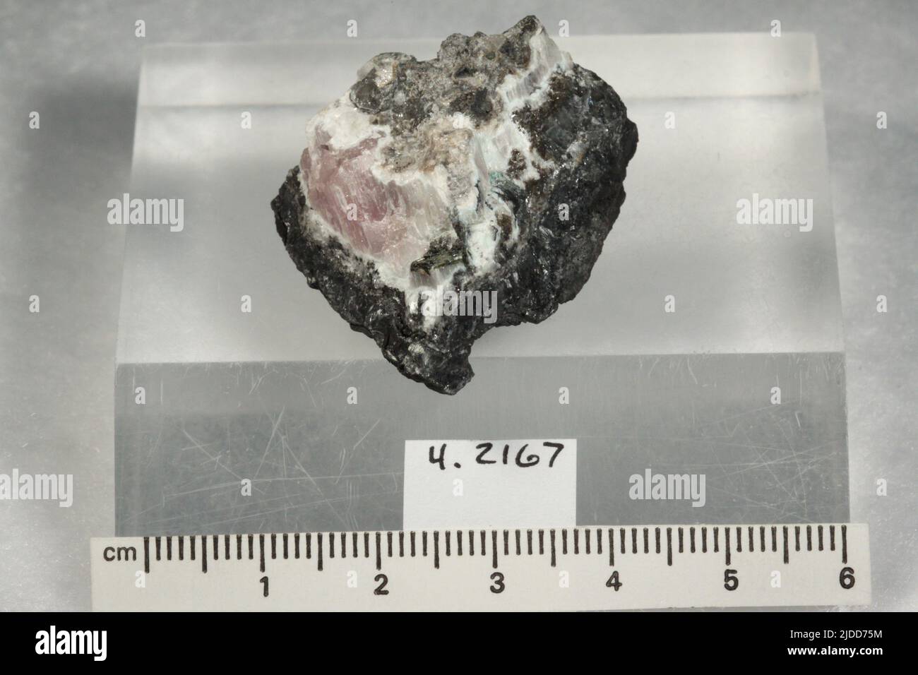 Chloroxiphite hi-res stock photography and images - Alamy