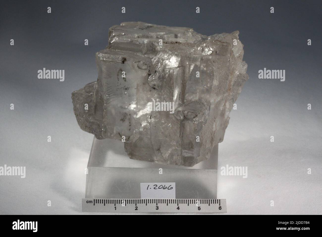 Halite. minerals. North America; USA; Nevada; Lincoln County; Rio ...