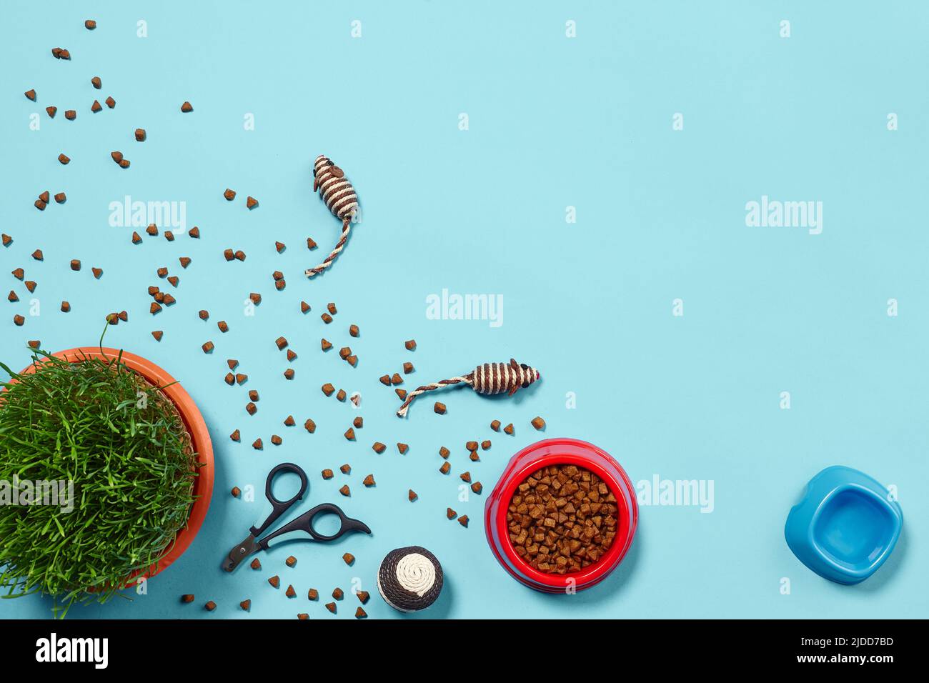Flat lay composition with accessories for a cat on a blue background ...