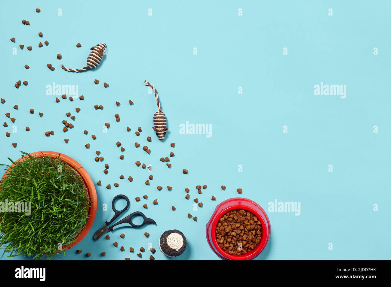 Flat lay composition with accessories for a cat on a blue background ...