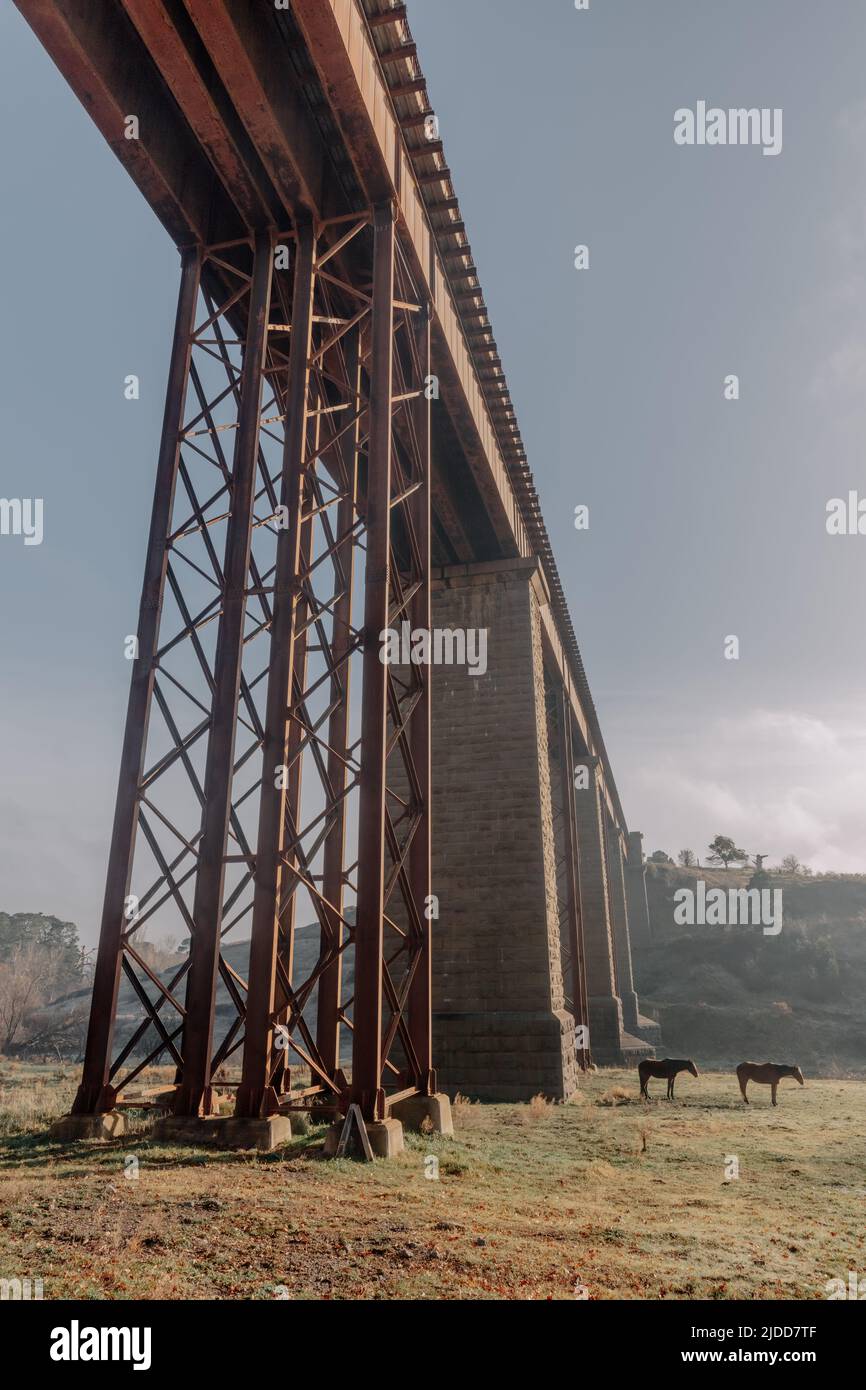 Taradale railway viaduct hi-res stock photography and images - Alamy