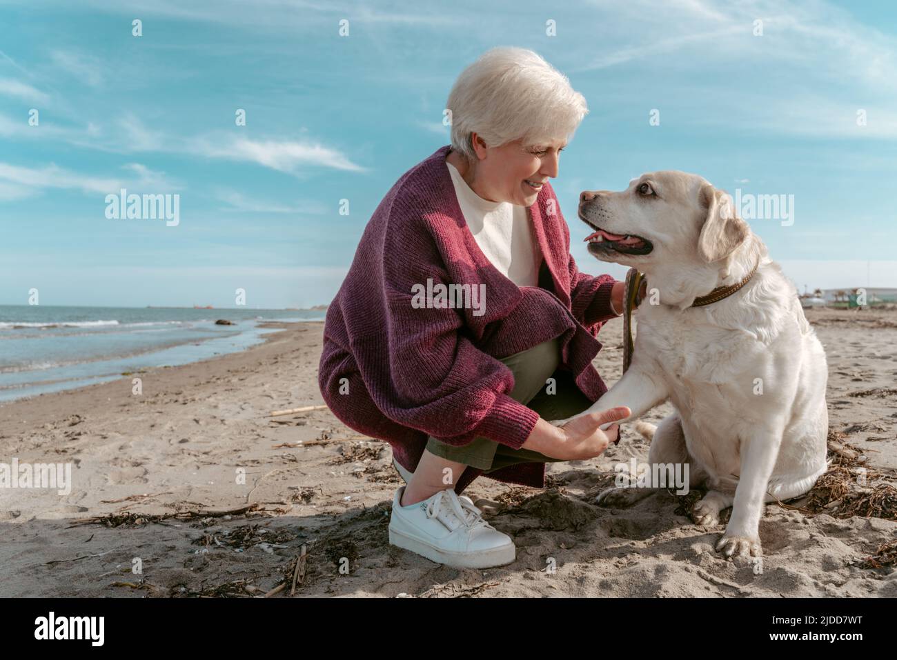 Senior woman practicing a new command with her pet Stock Photo - Alamy