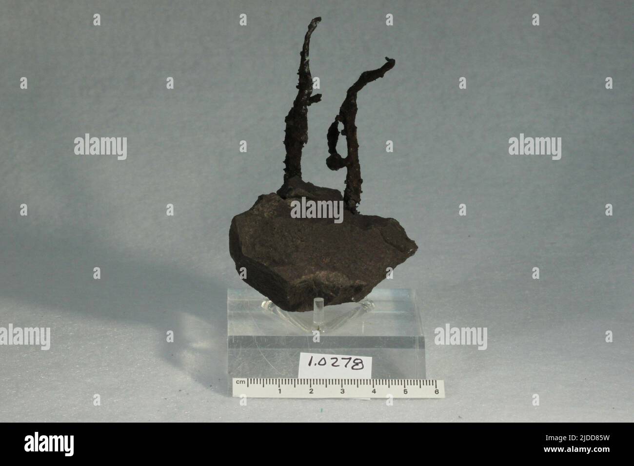 Copper. minerals. North America; USA; Michigan; Keweenaw County; Copper ...