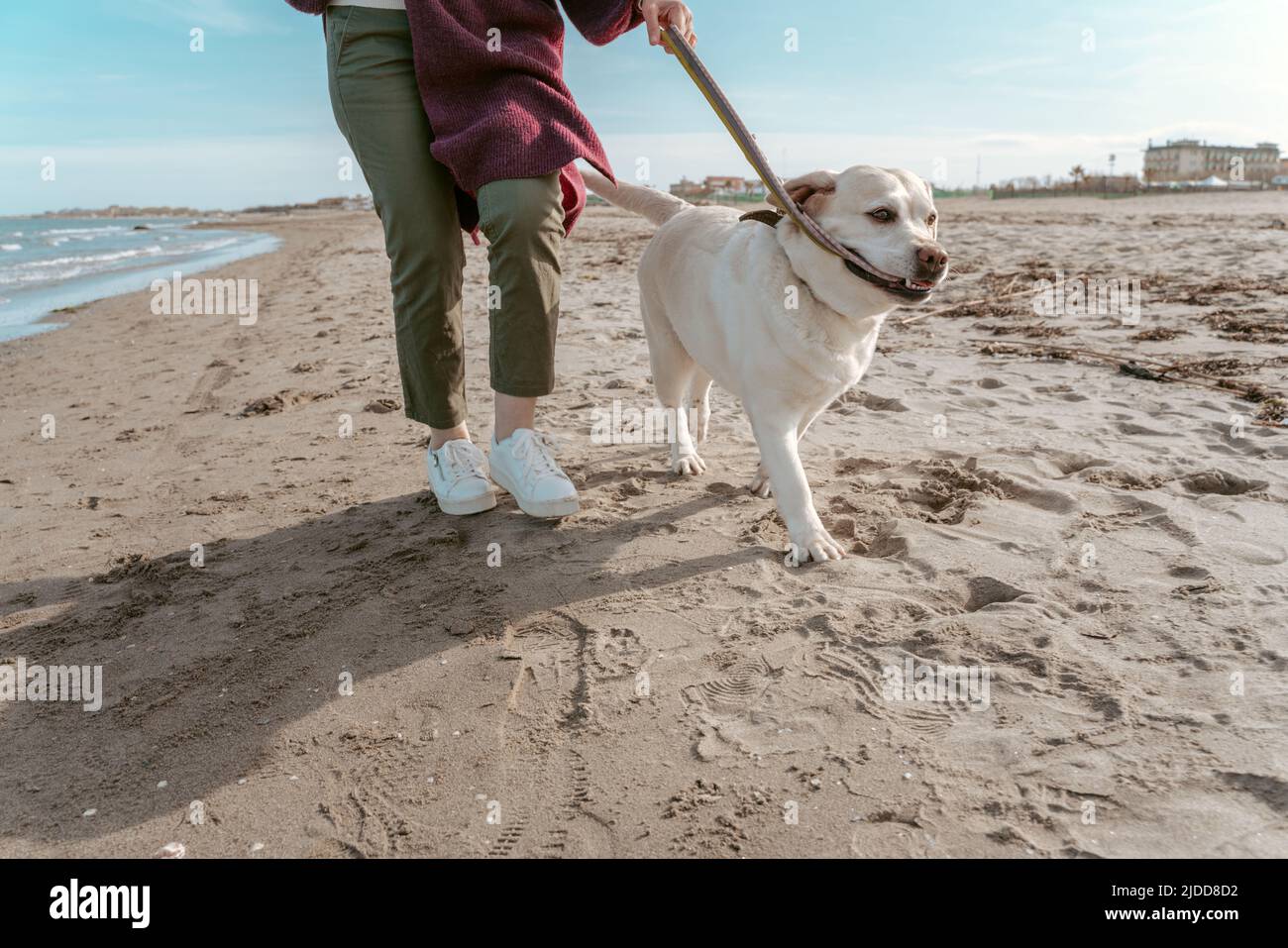 Master strolling with her cute dog along the beach Stock Photo - Alamy