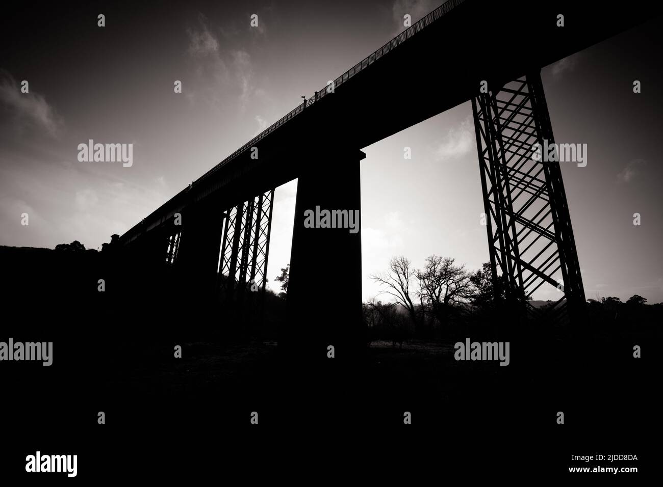 Taradale viaduct hi-res stock photography and images - Alamy