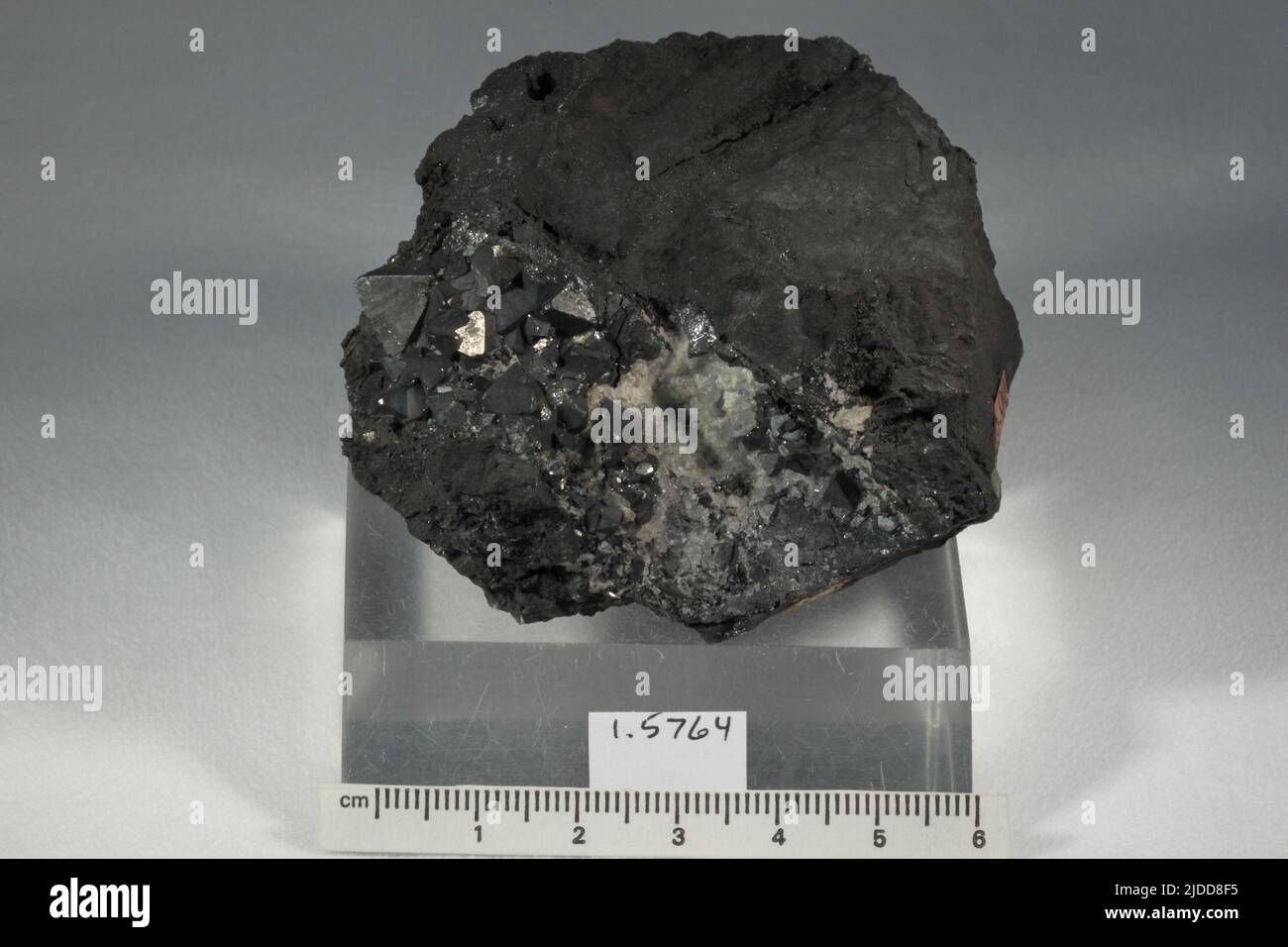 Burnier hi-res stock photography and images - Alamy