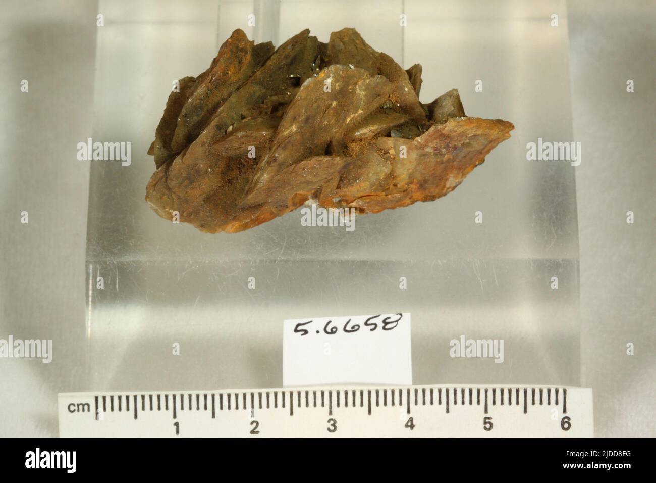 Magnesite. minerals. Europe; Italy; Piemont Region; Traversella Stock ...