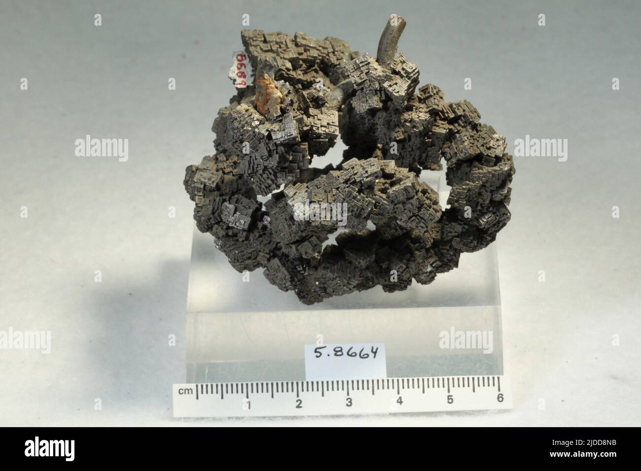 Bismuth. minerals. South America; Bolivia; Chorolque Stock Photo - Alamy