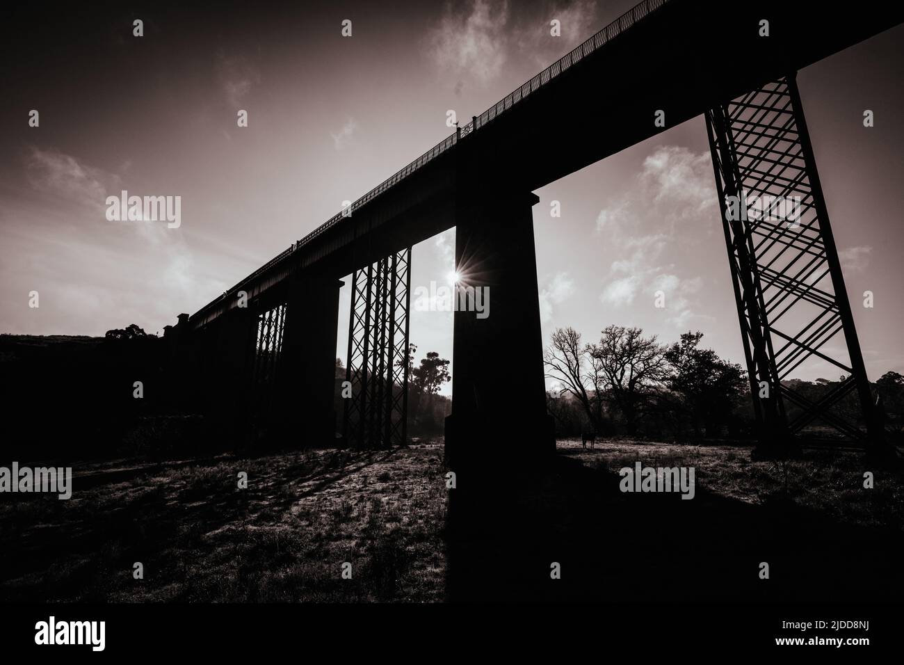 Taradale viaduct hi-res stock photography and images - Alamy