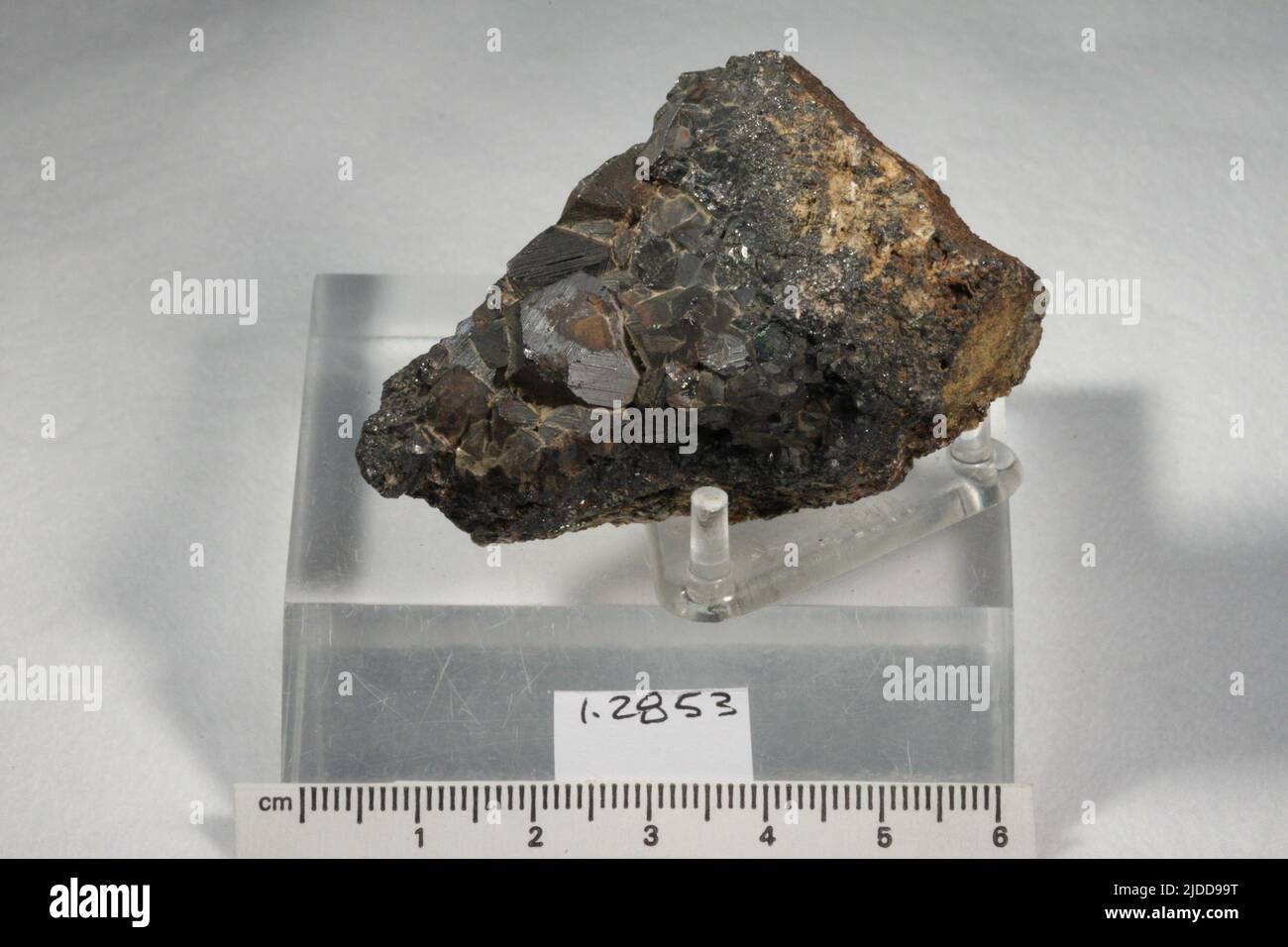 Magnetite. minerals. Europe; Italy; Piemont Region; Traversella Stock ...
