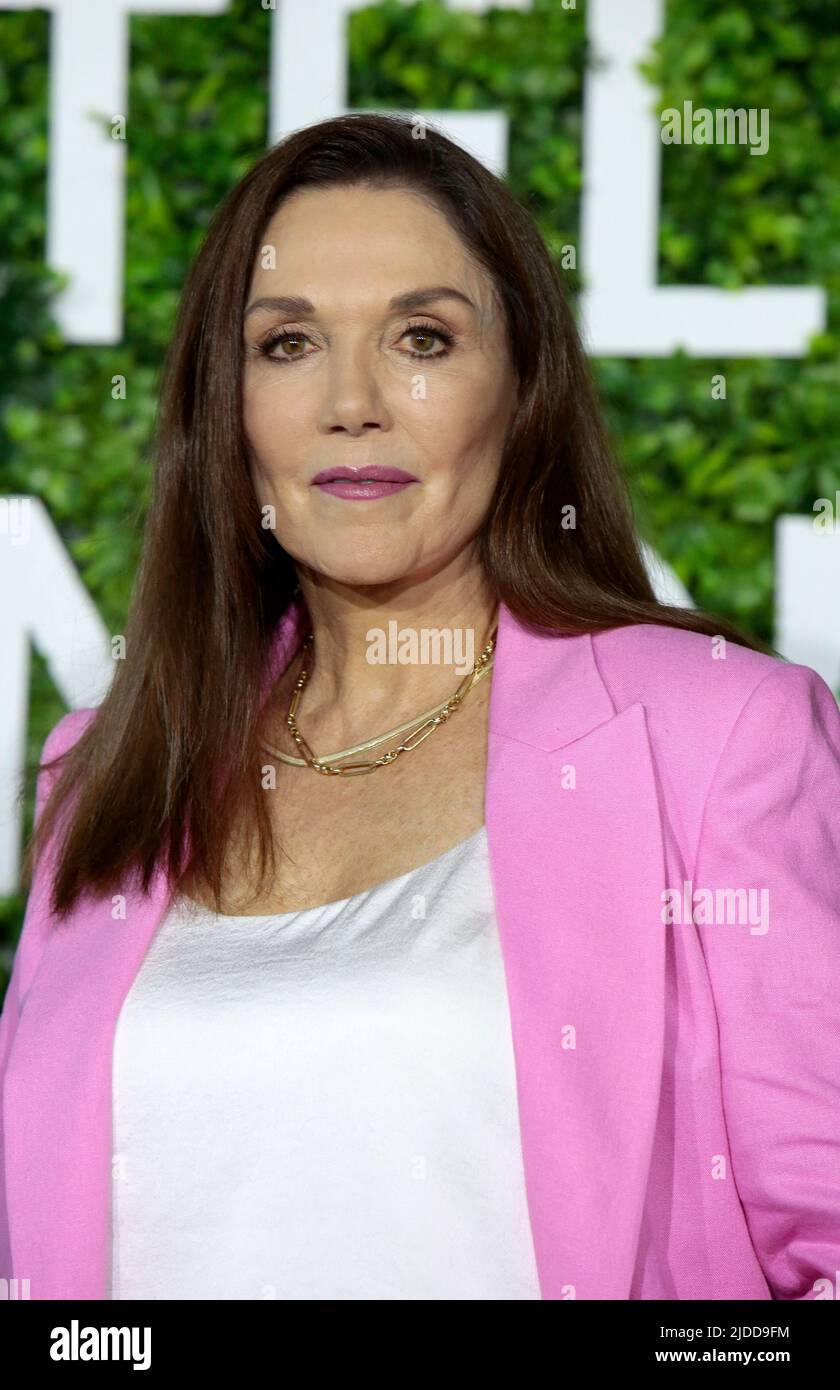 Stepfanie Kramer Now