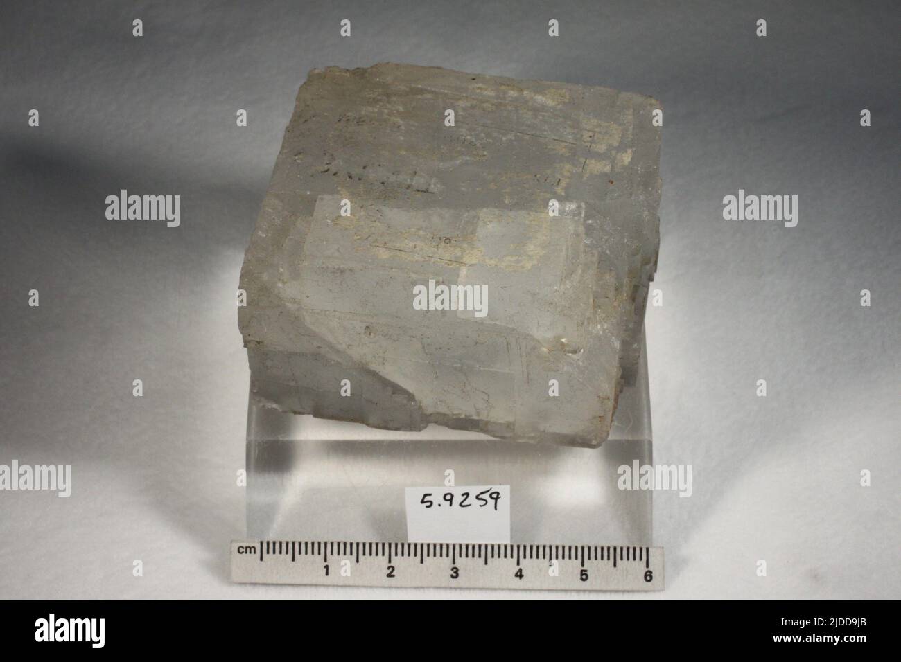 Sylvite. minerals. Europe; Germany; Stassfurt Stock Photo - Alamy