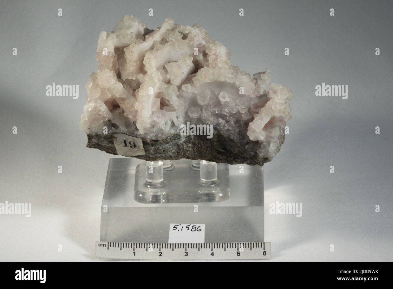 Fluorite. minerals. North America; Mexico; Guanajuato State; Valenciana ...