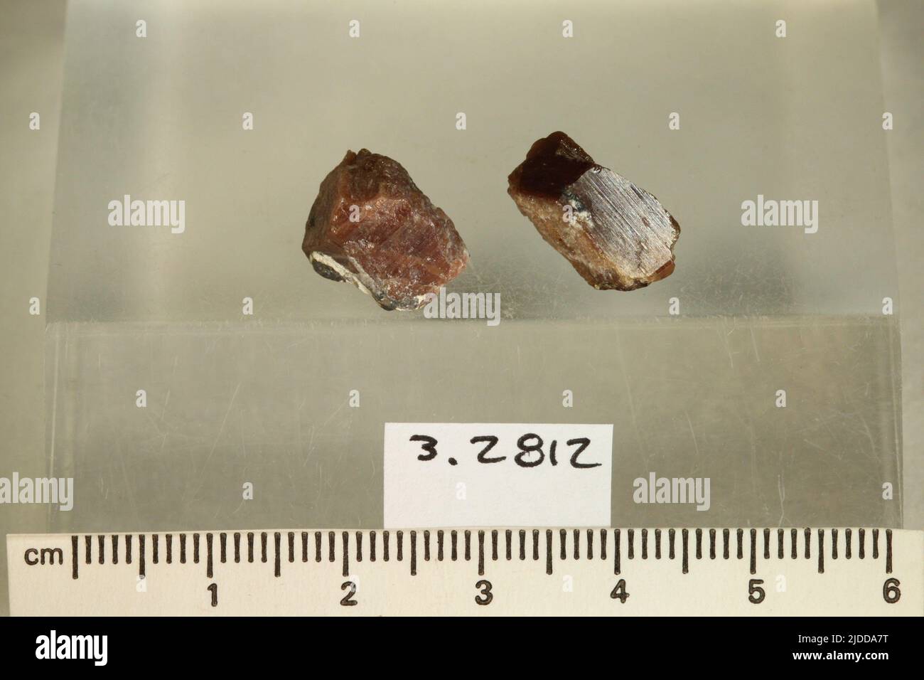 Parisite hi-res stock photography and images - Alamy