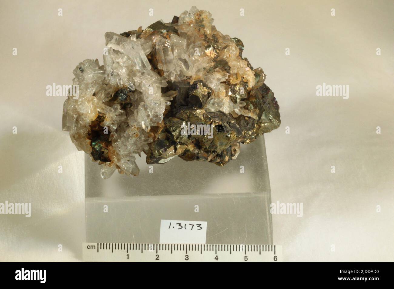 Brookite. minerals. North America; USA; New York; Ulster County ...