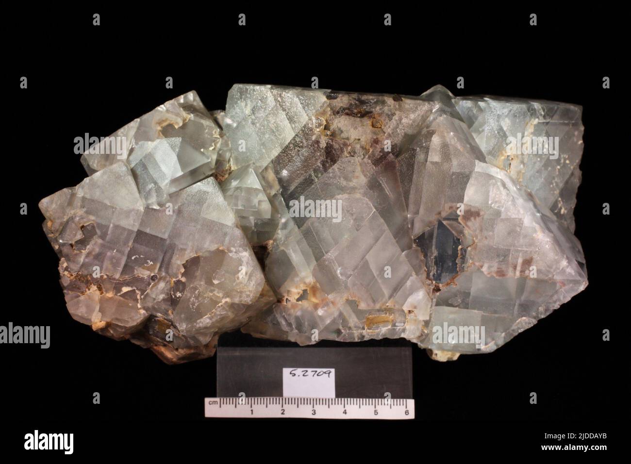 Fluorite. minerals. North America; USA; Colorado; Teller County ...