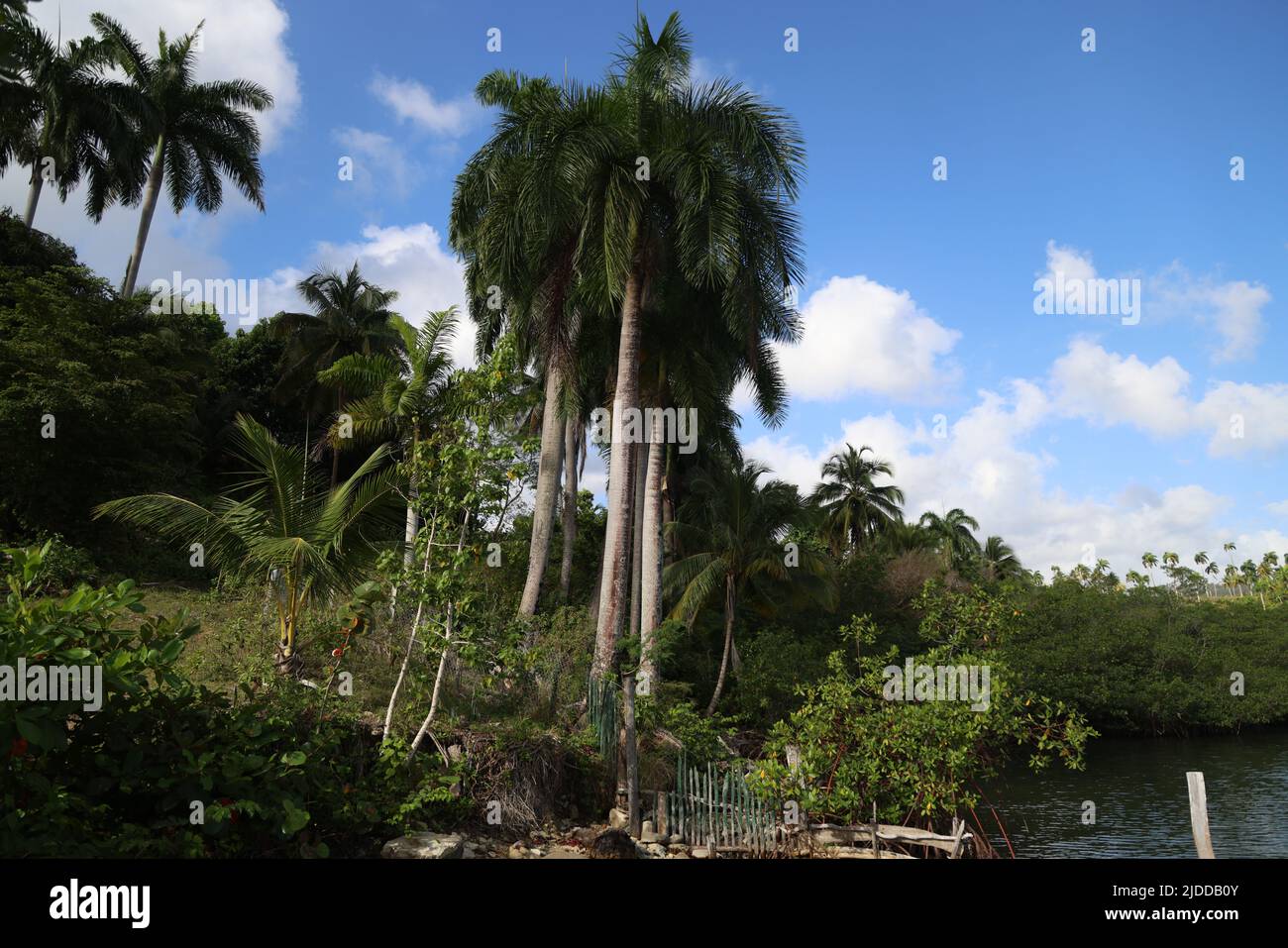 Alejandro de Humboldt Natural Park, Cuba Stock Photo - Alamy