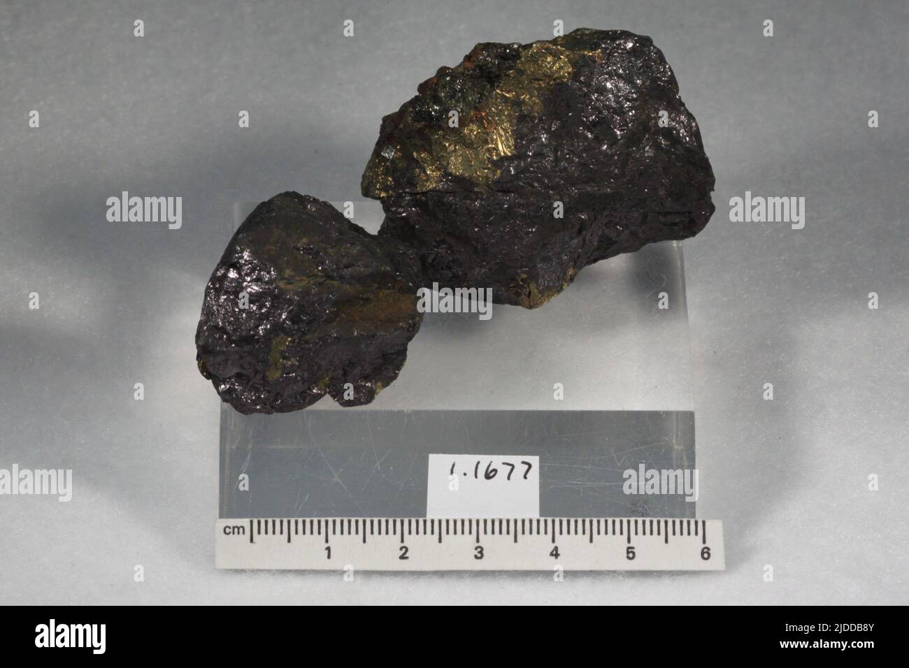 Bornite. minerals. North America; USA; Arizona; San Carlos Mine Stock ...