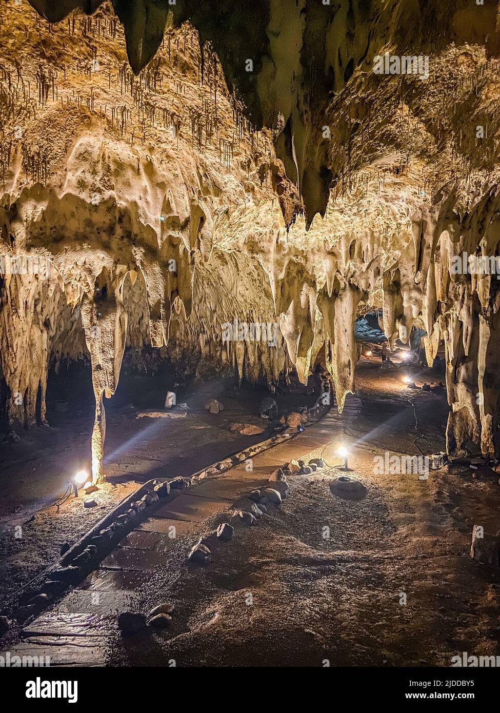 Tham Khao Bin cave in Ratchaburi, Thailand Stock Photo - Alamy