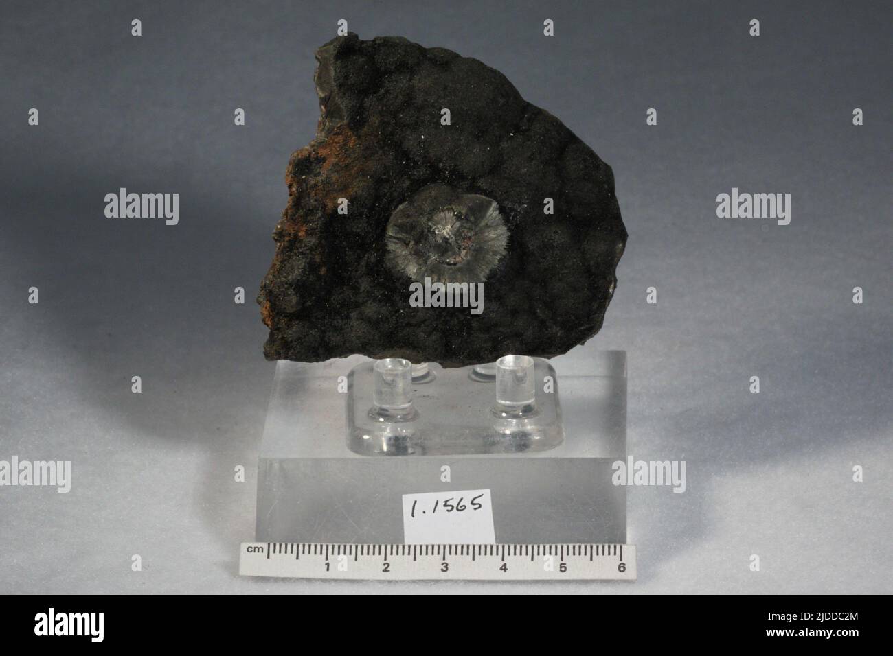 Millerite. minerals. North America; USA; Pennsylvania; Lancaster County ...