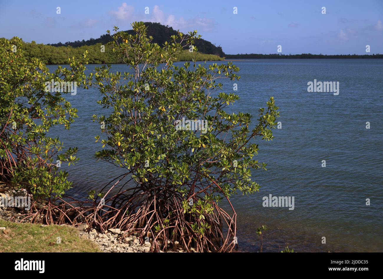 Alejandro de Humboldt Natural Park, Cuba Stock Photo - Alamy