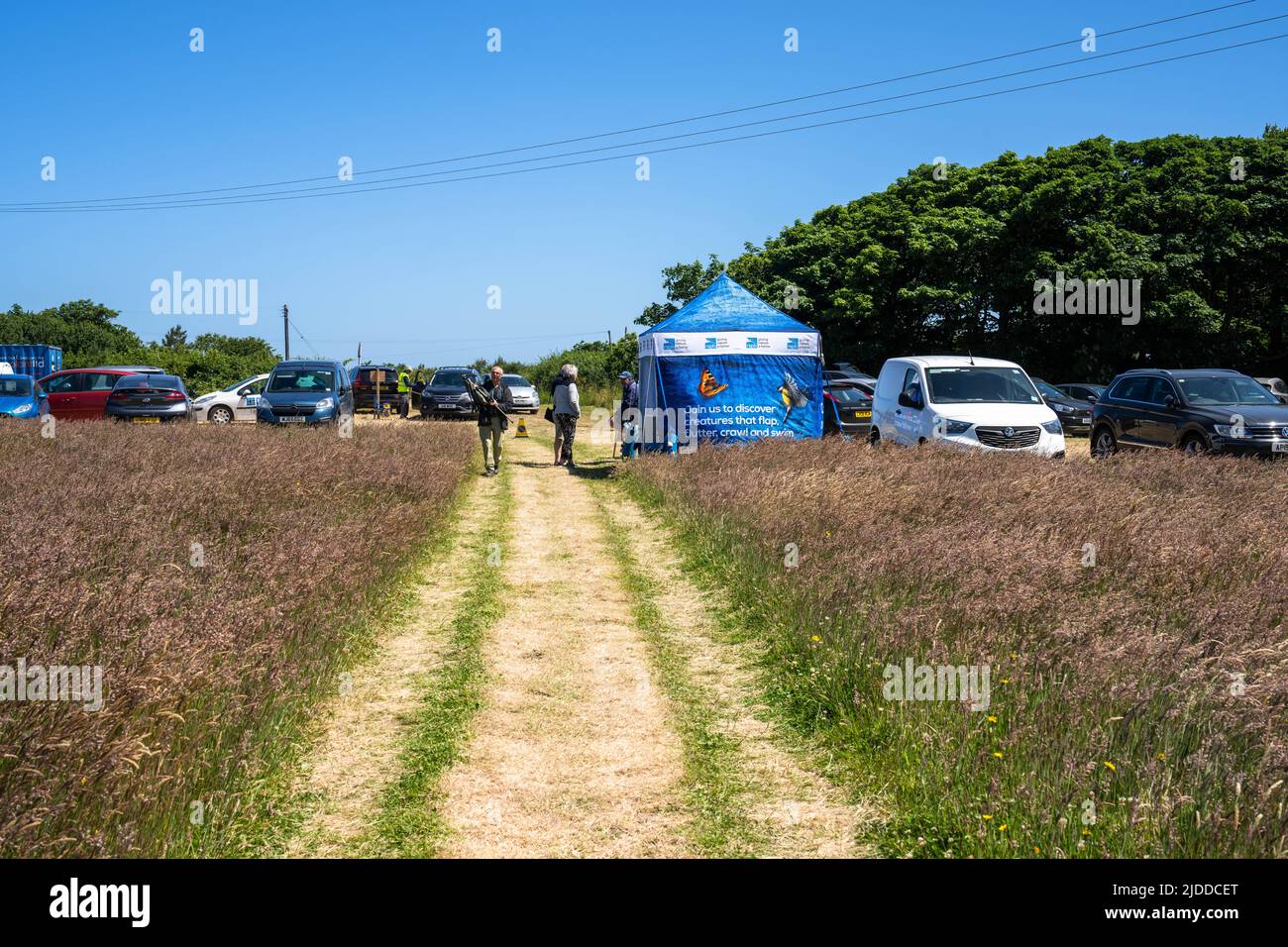 RSPB Temporary site for photographers and birders who are looking at ...