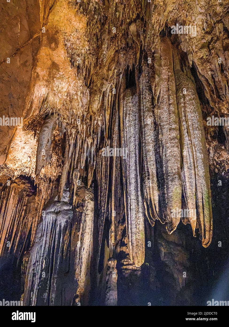 Tham Khao Bin cave in Ratchaburi, Thailand Stock Photo - Alamy