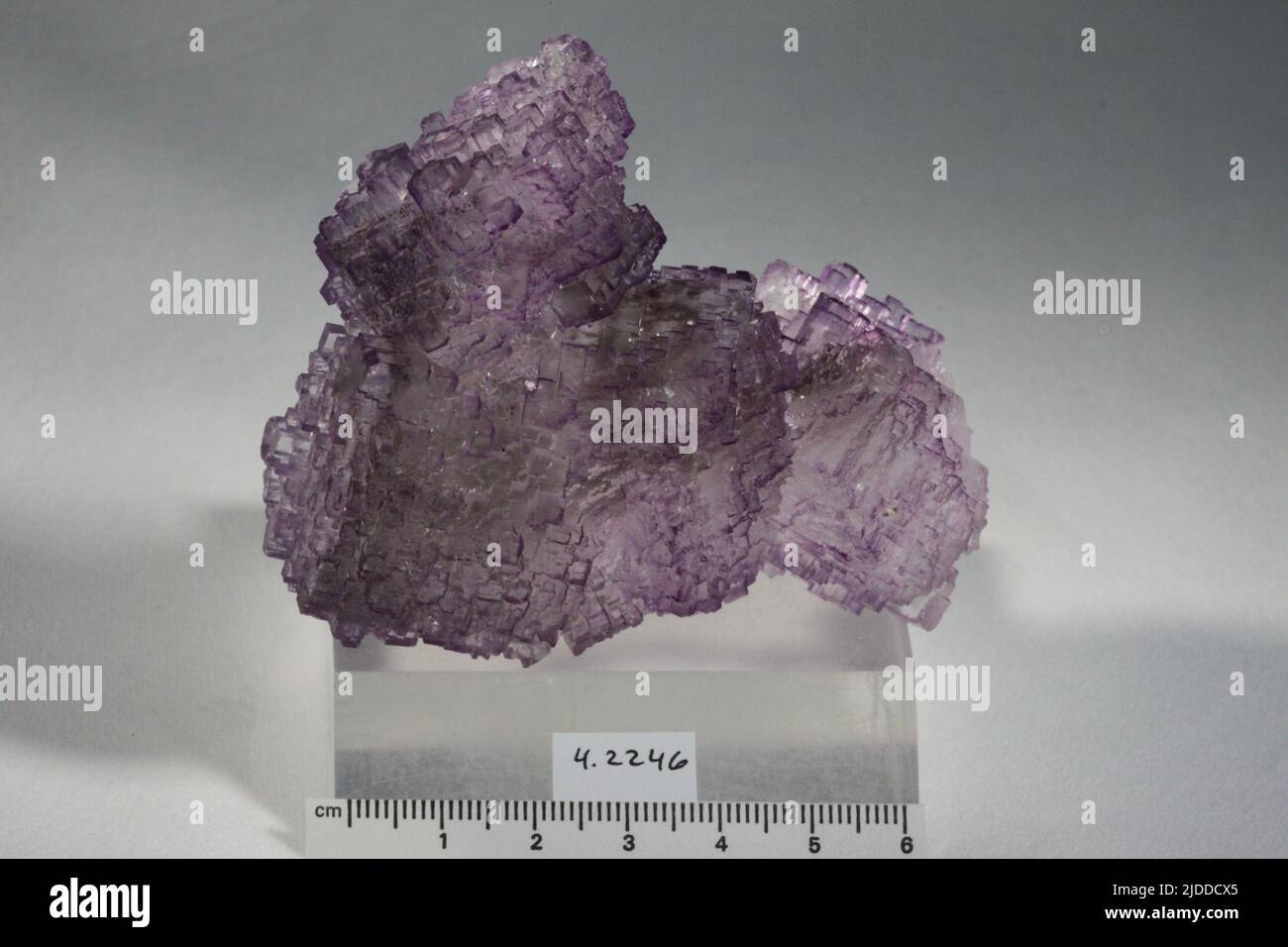 Fluorite. minerals. North America; Mexico; Coahuila; Muzquiz Stock ...