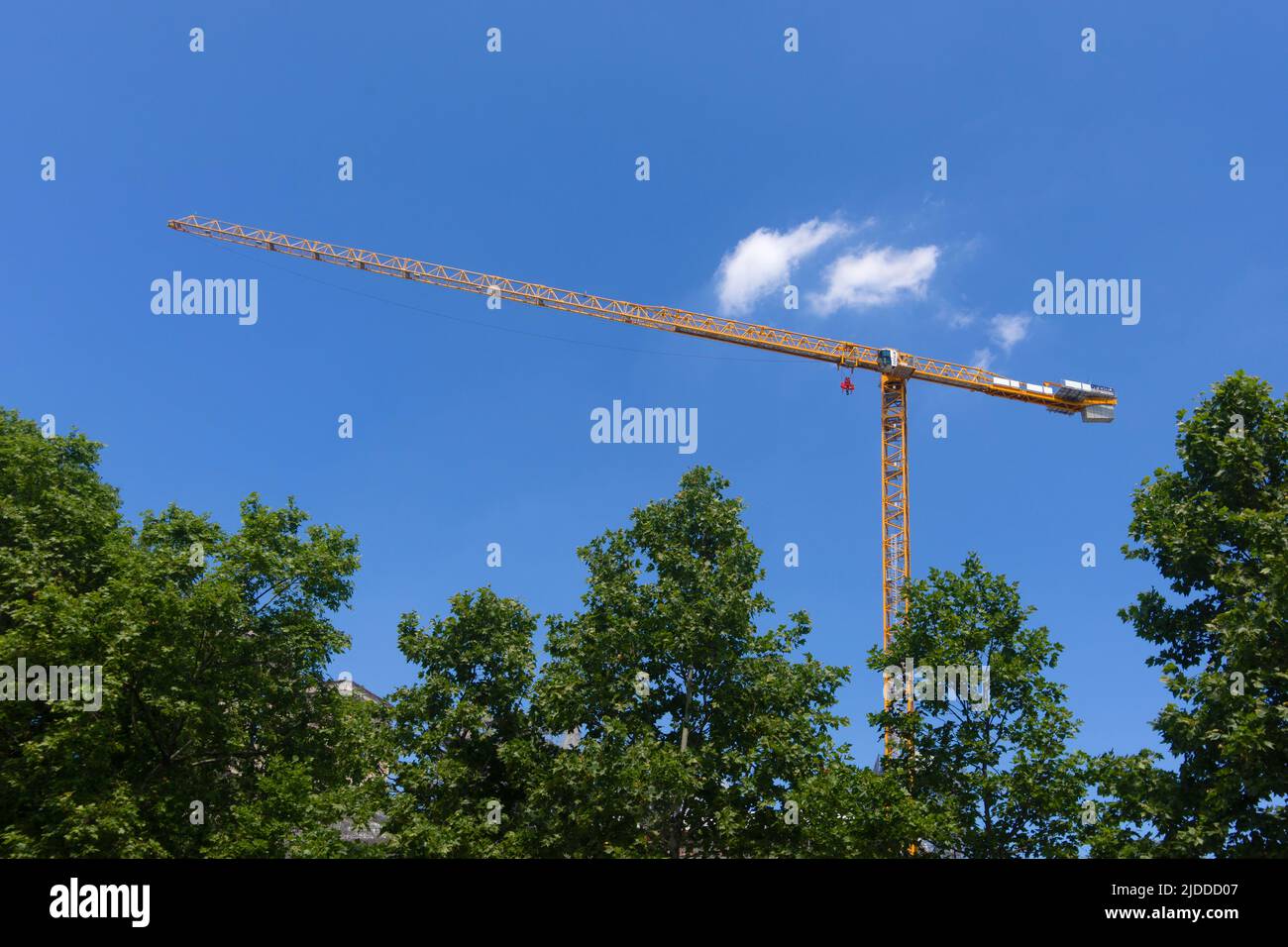 Potain MDT 809 flat top tower crane with 80 meter jib at the Notre Dame ...