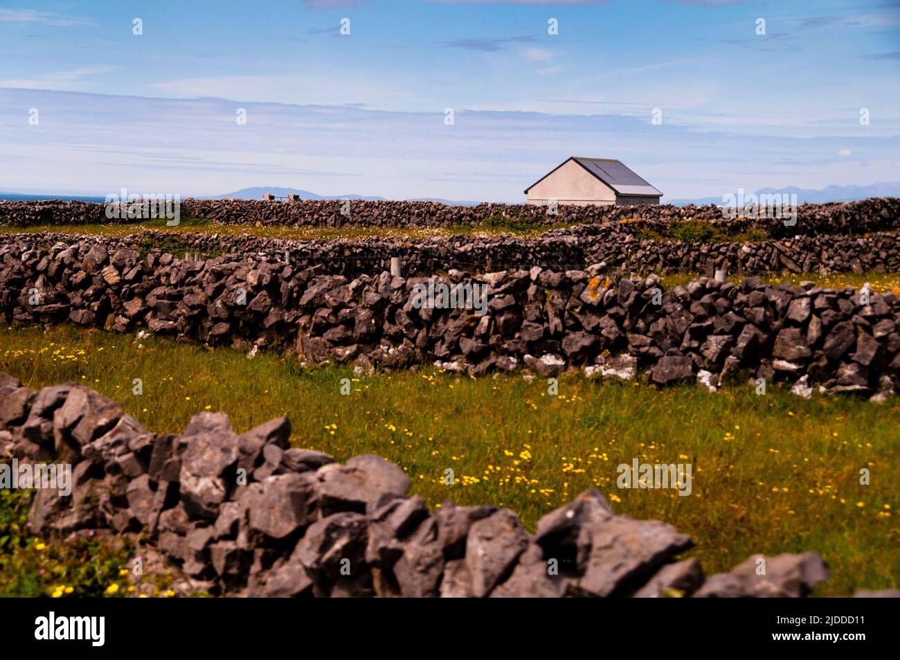 Dry stacked stone walls on the distinctly Irish island of Inishmore ...