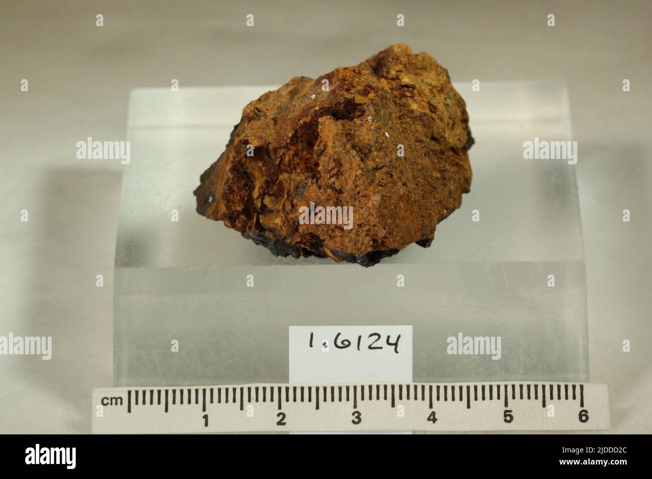 Limonite. minerals. North America; USA; New Jersey; Sussex County ...