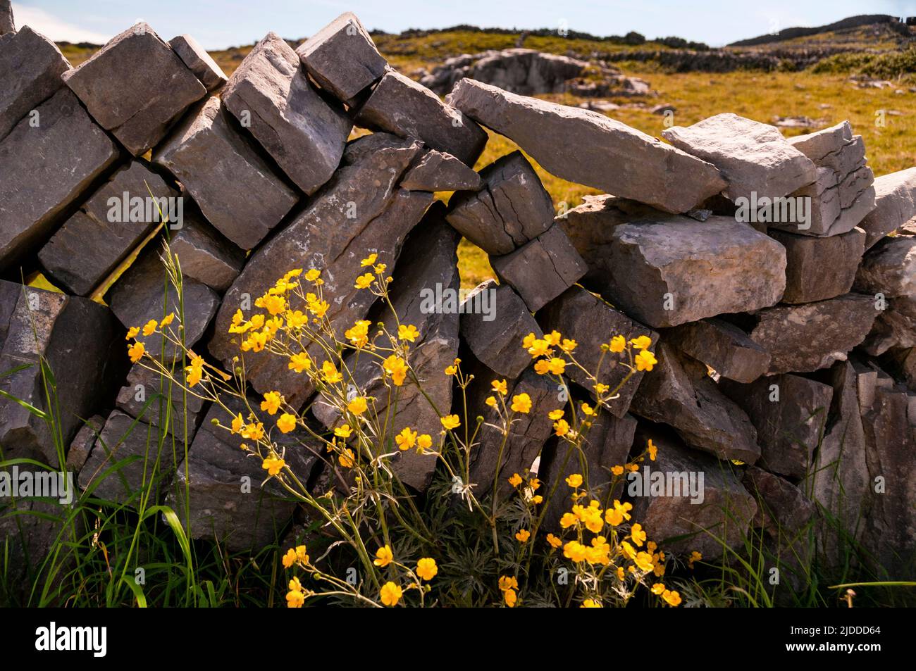 Dry stacked stone walls, Inishmore, Ireland Stock Photo - Alamy