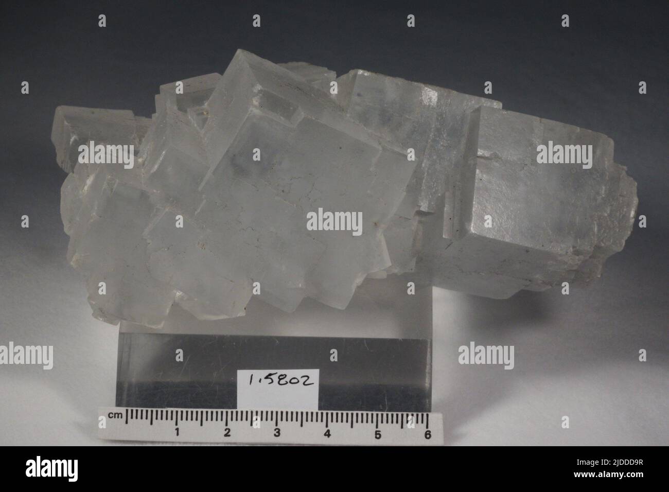 Halite. minerals. Europe; Germany; Saxony, Celle Stock Photo - Alamy