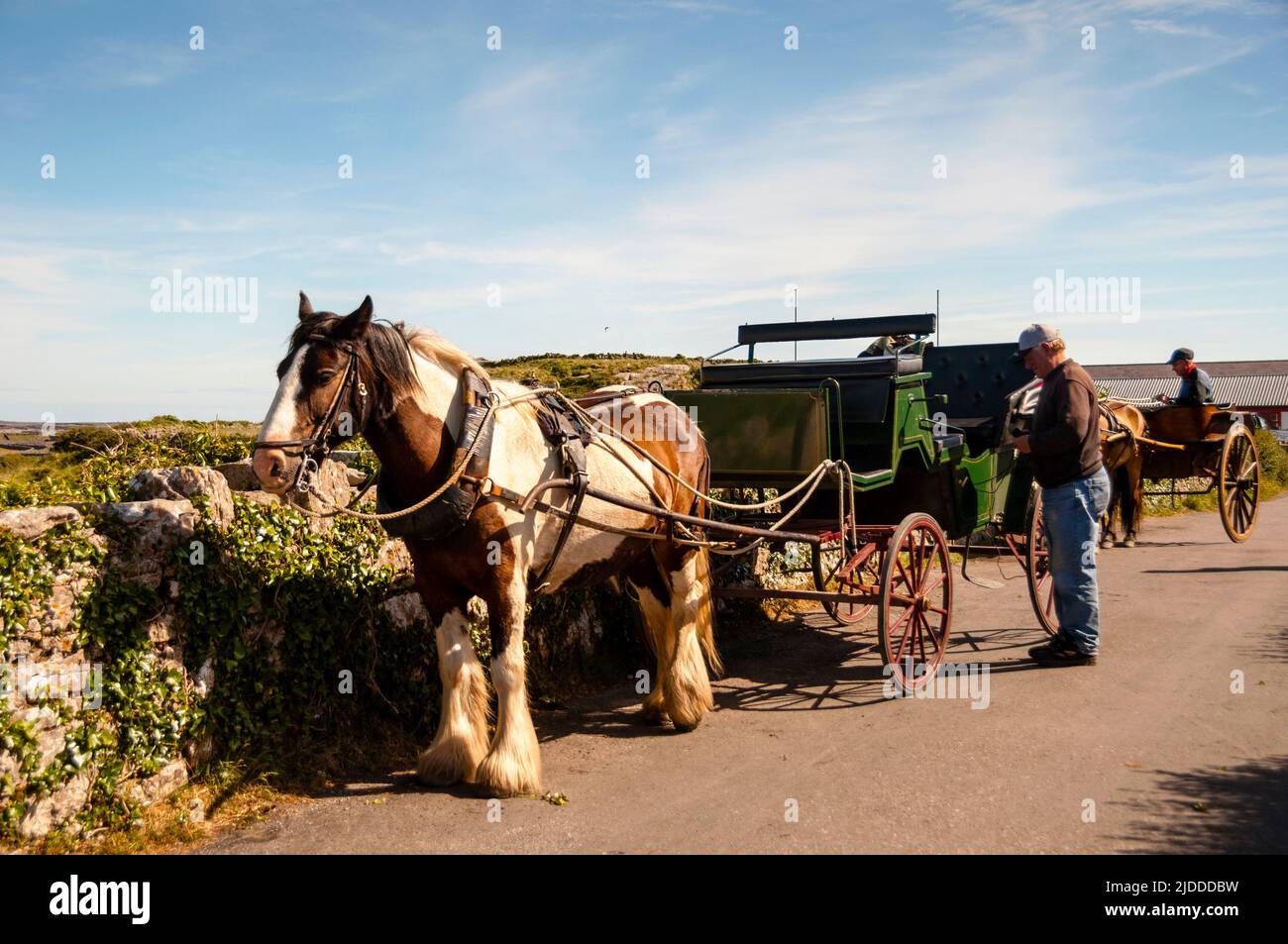 Horse pony and trap carriages on the Aran Island of Inishmore off the ...