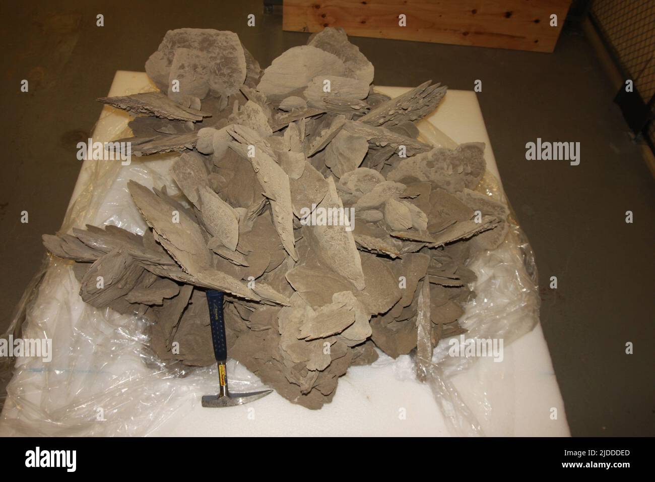 Gypsum. minerals. North America; Mexico; Chihuahua Desert Stock Photo ...