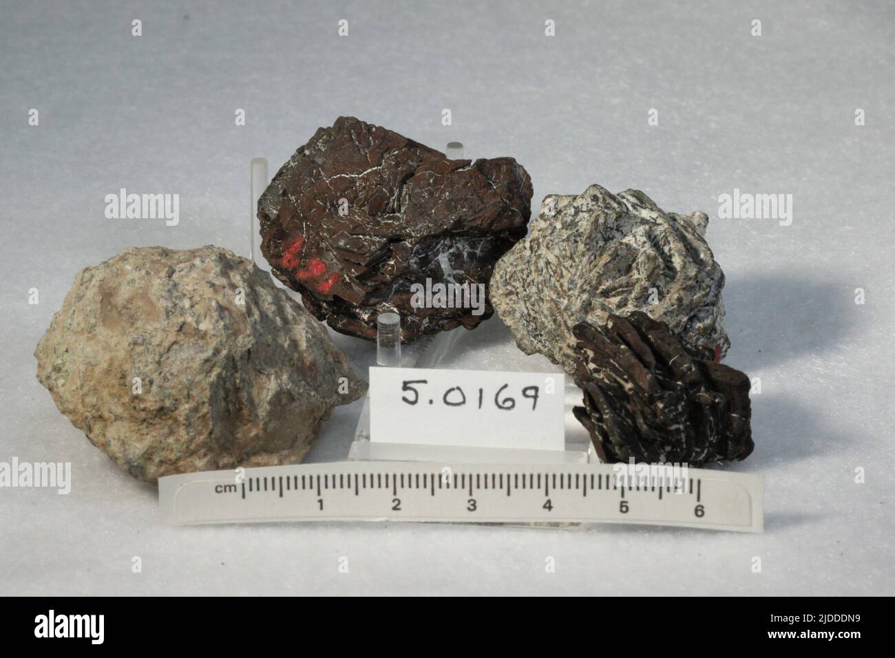Copper. minerals. North America; USA; New Mexico; Grant County; San ...