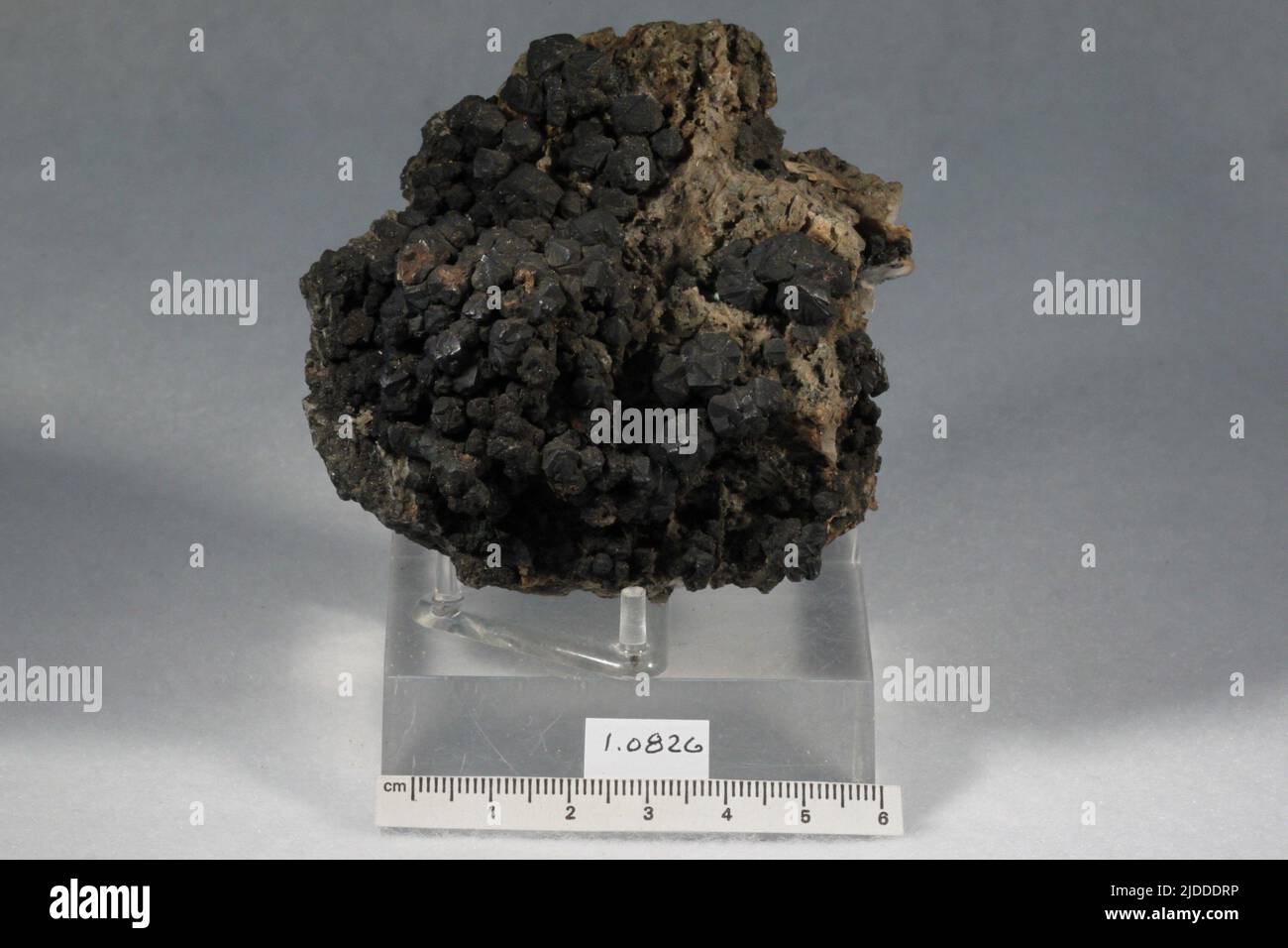 Bornite. minerals. Europe; England; Cornwall; Redruth Stock Photo - Alamy