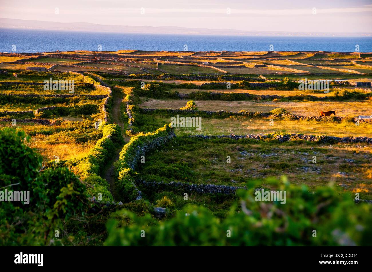 Inishmore stone walls hi-res stock photography and images - Alamy