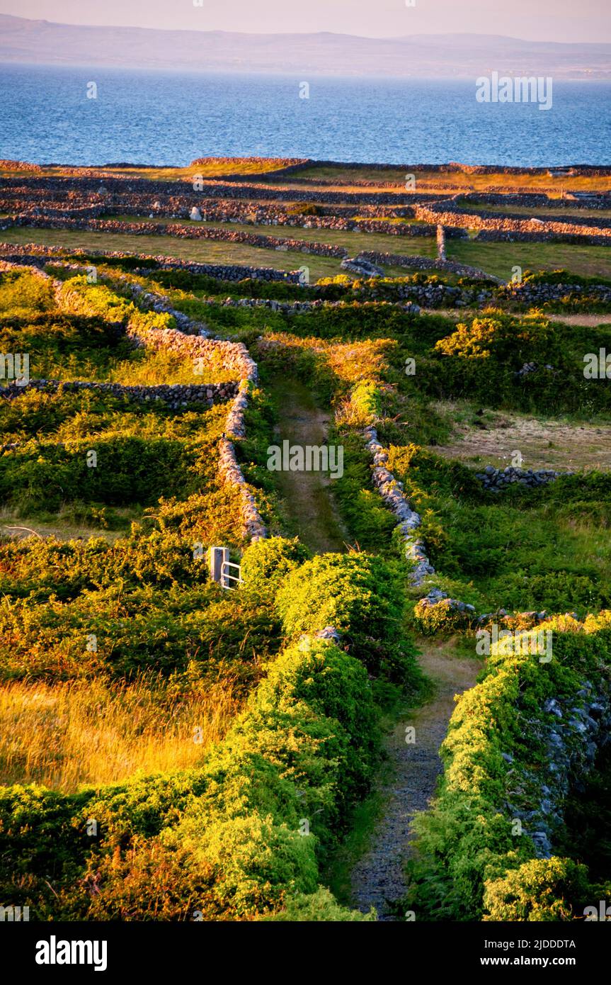 Inishmore stone walls hi-res stock photography and images - Alamy