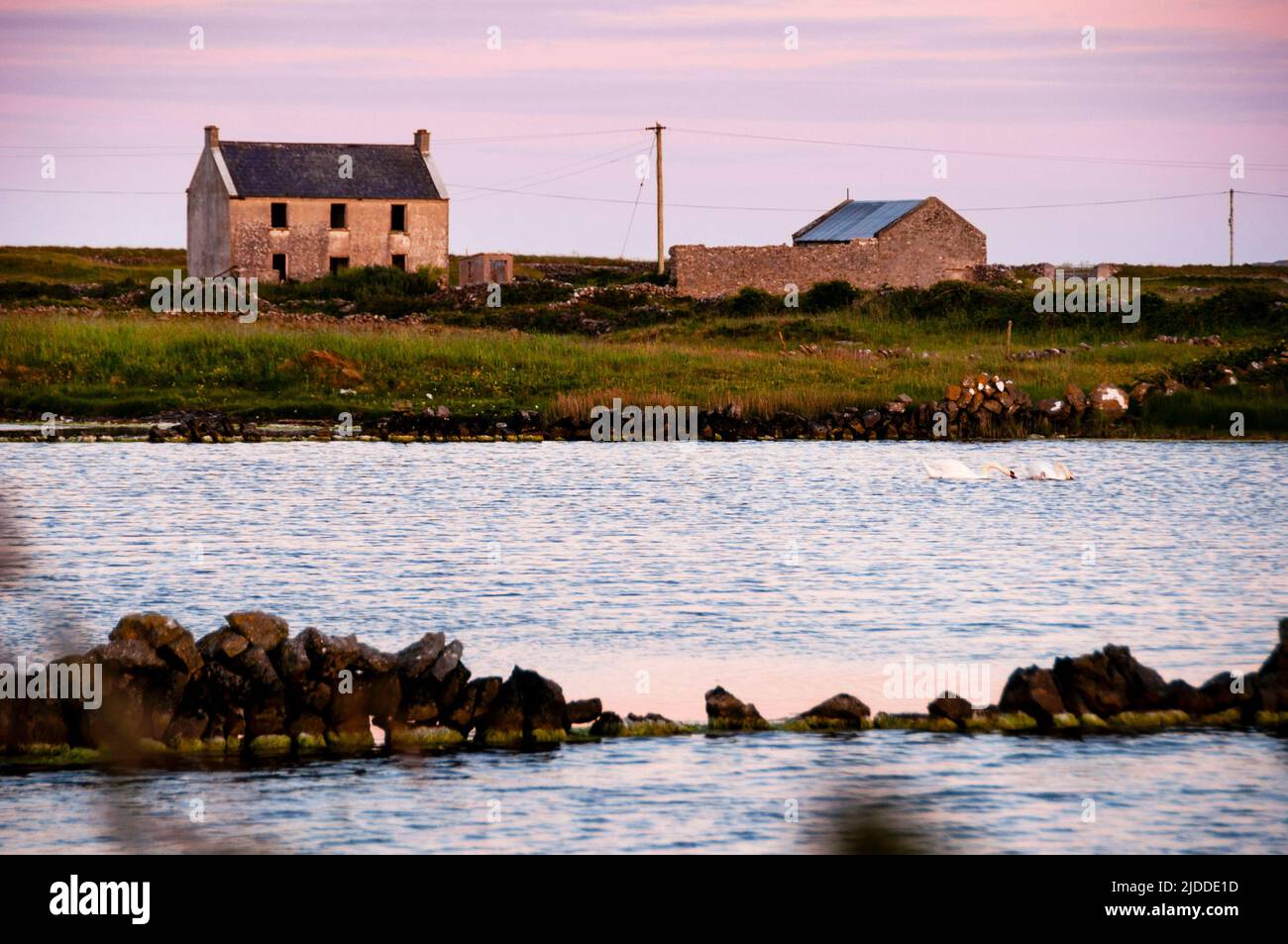 Galway birds hi-res stock photography and images - Alamy