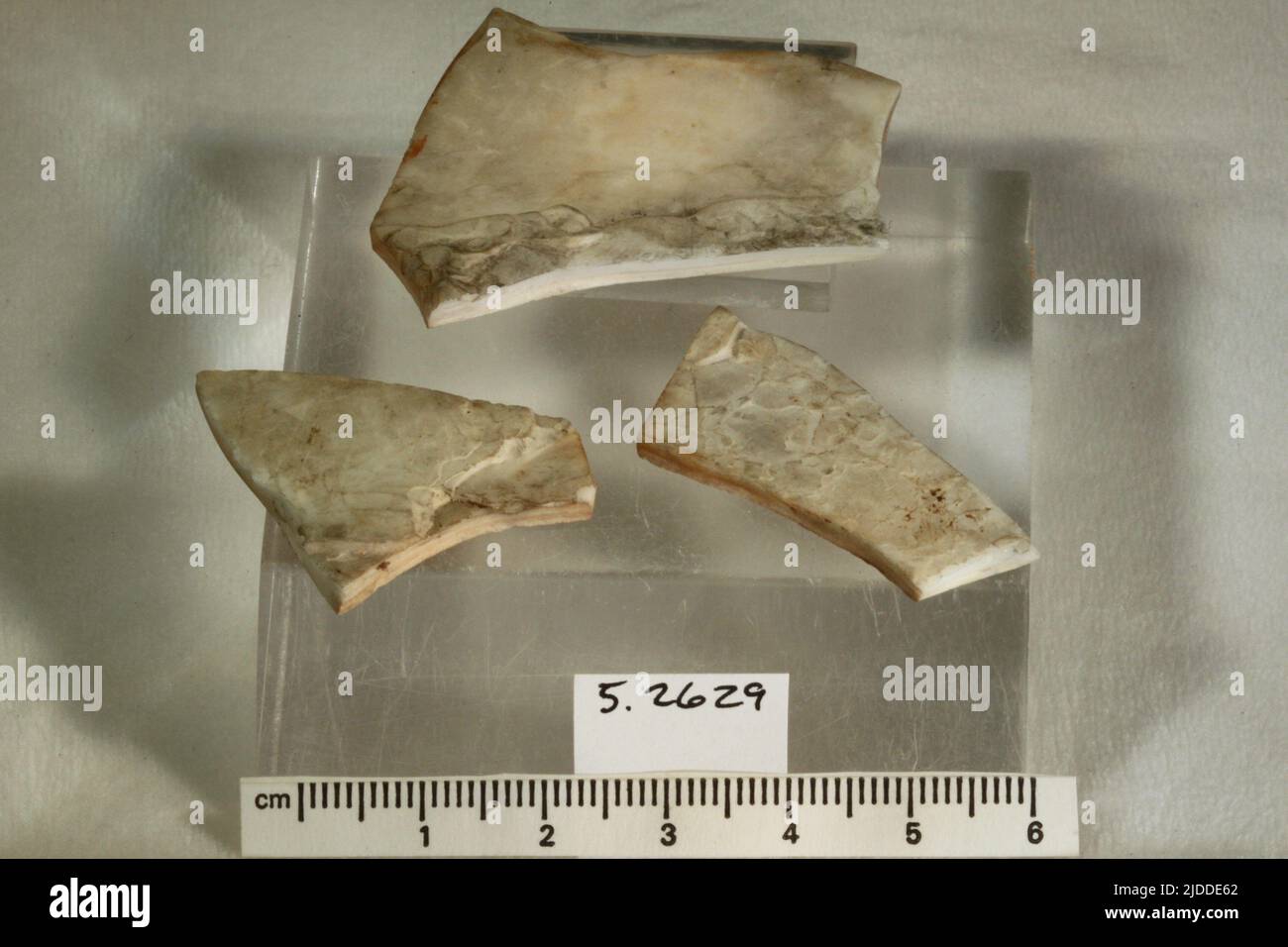 Opal. minerals. Europe; Iceland; Eskifjördur, Helgustadir farm ...