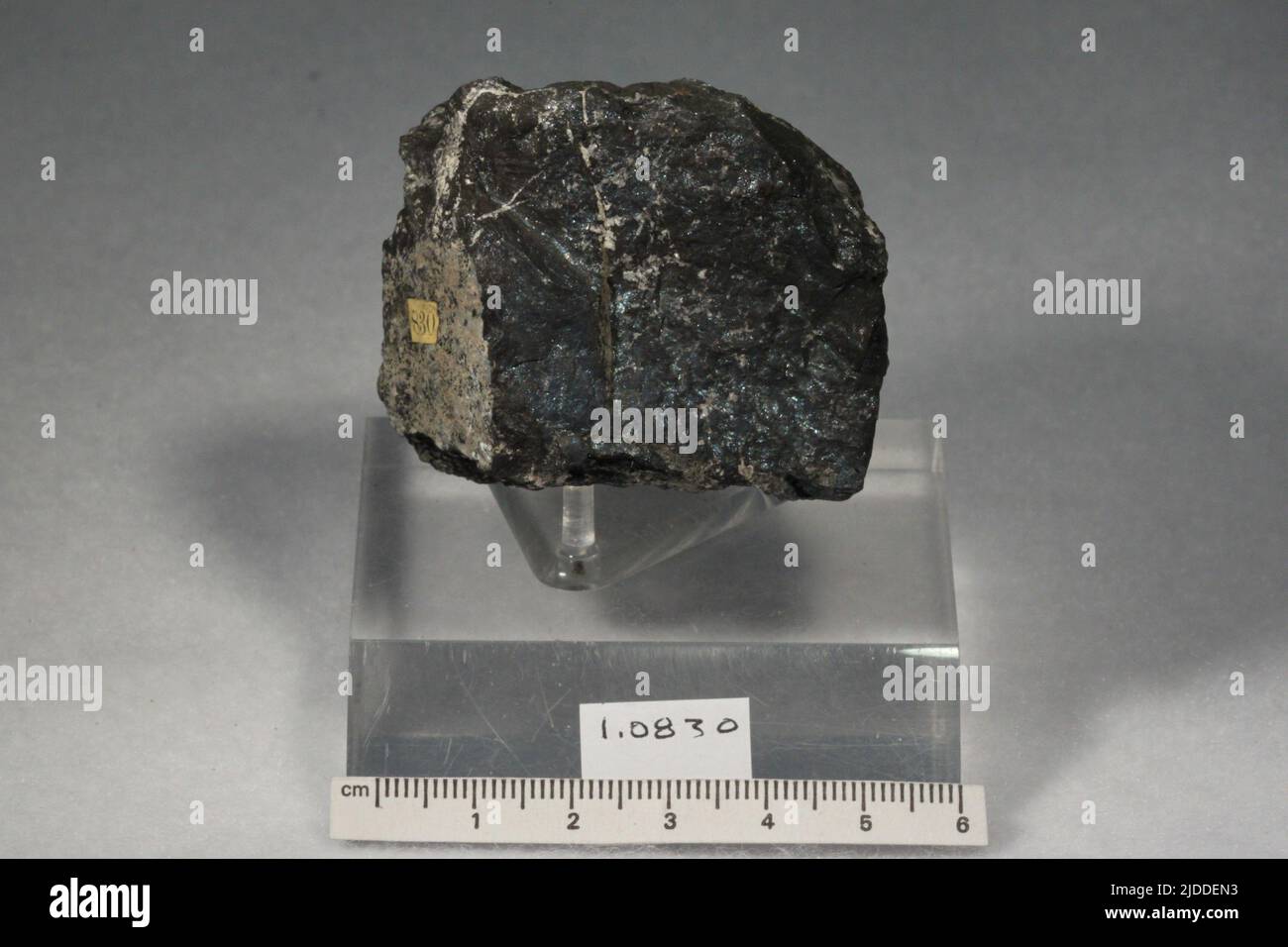 Bornite. minerals. South America; Chile; Coquimbo Province; Coquimbo ...