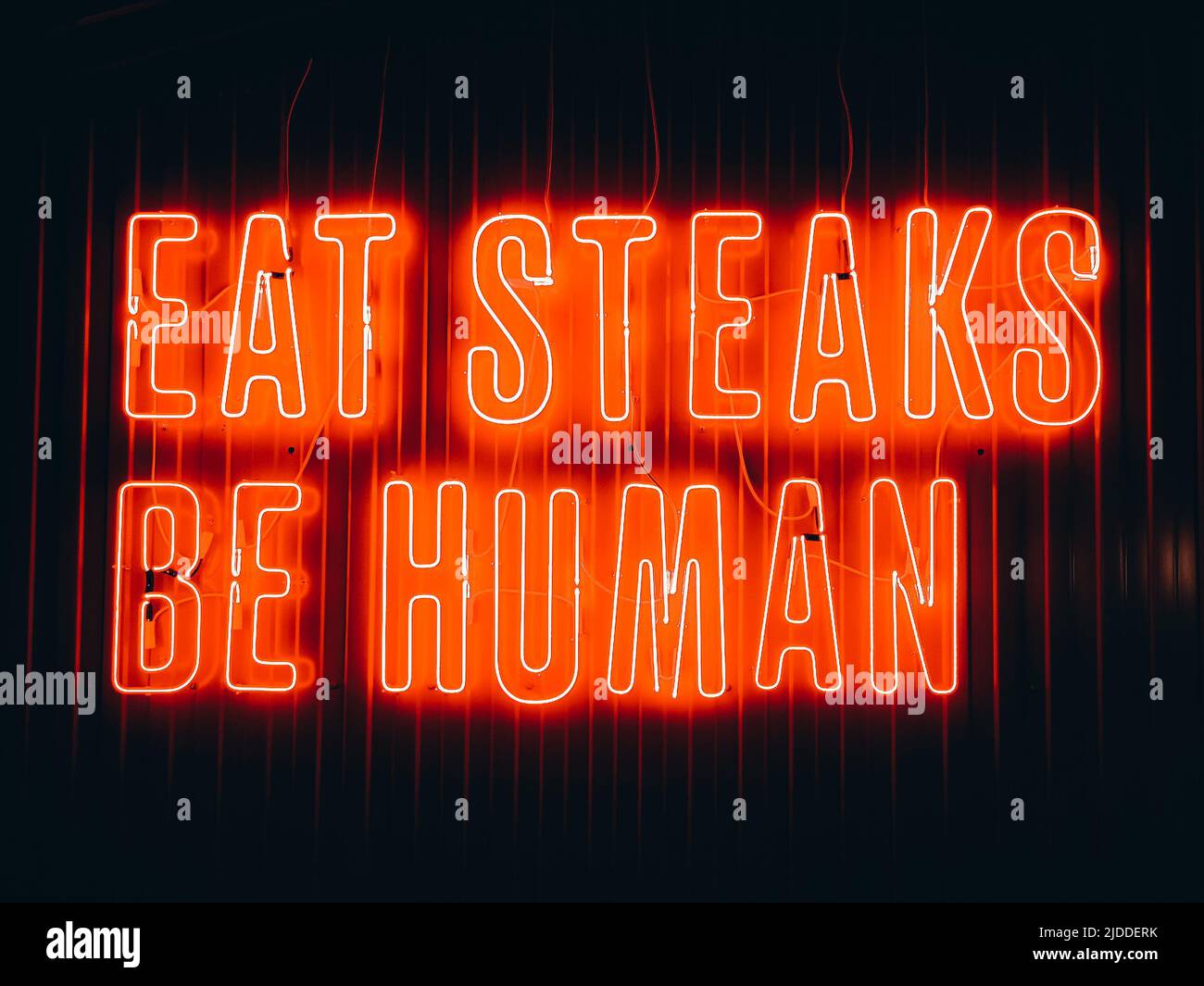 Red neon light lettering "Eat steaks Be human" in dark, steak ...