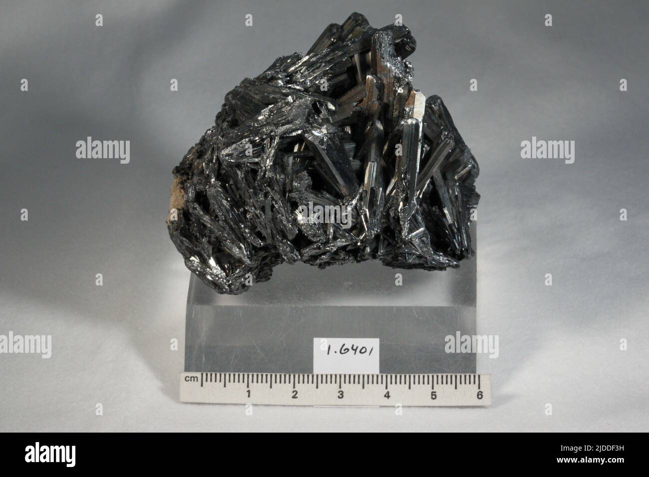 Stibnite. minerals. North America; USA; Nevada; Nye County; Manhattan ...