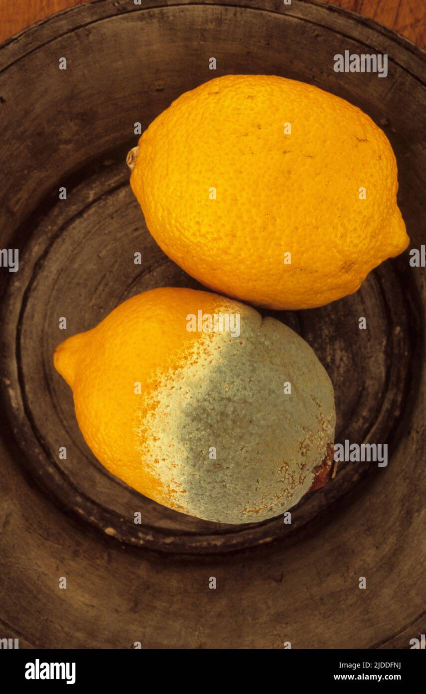 Lemon mould hi-res stock photography and images - Alamy