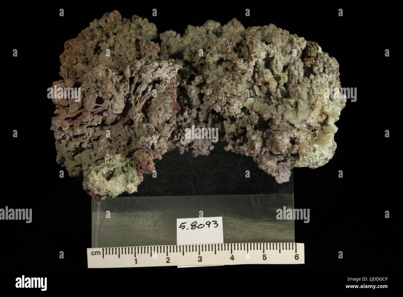 Aphthitalite hi-res stock photography and images - Alamy