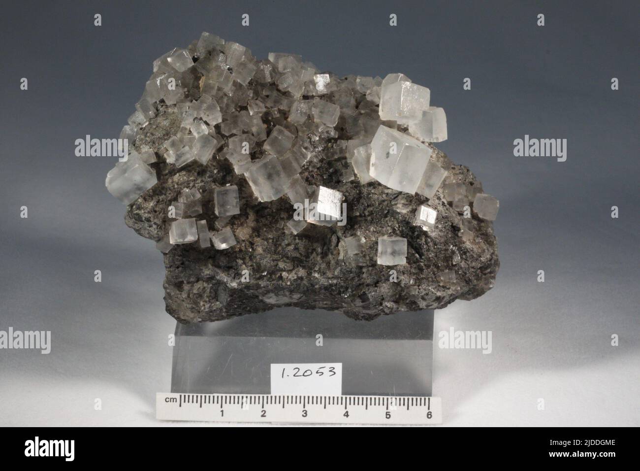 Halite. minerals. Europe; Switzerland; Vaud Canton; Bex; Di Bouillet ...