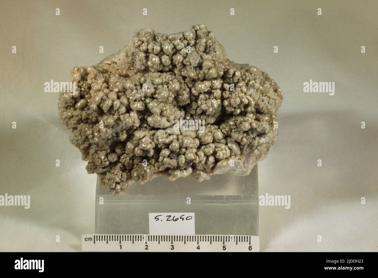 Opal. minerals. North America; USA; Wyoming; Park County; Yellowstone ...